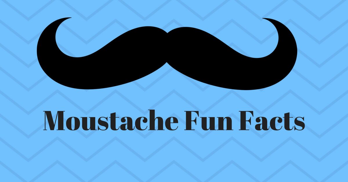 Hairdressing Articles | Lily Jackson Hair & Makeup